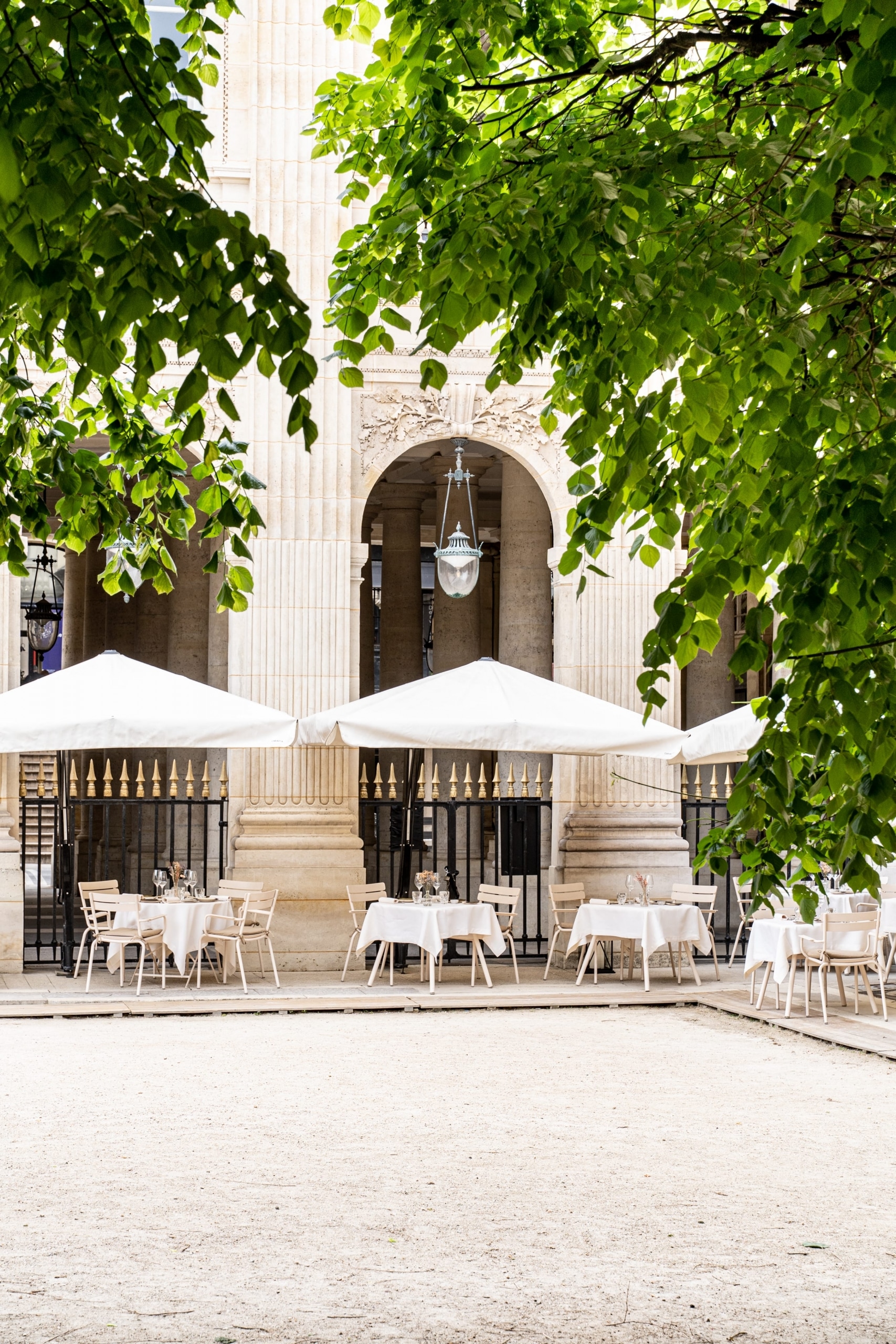 A new ambition - Evok Collection